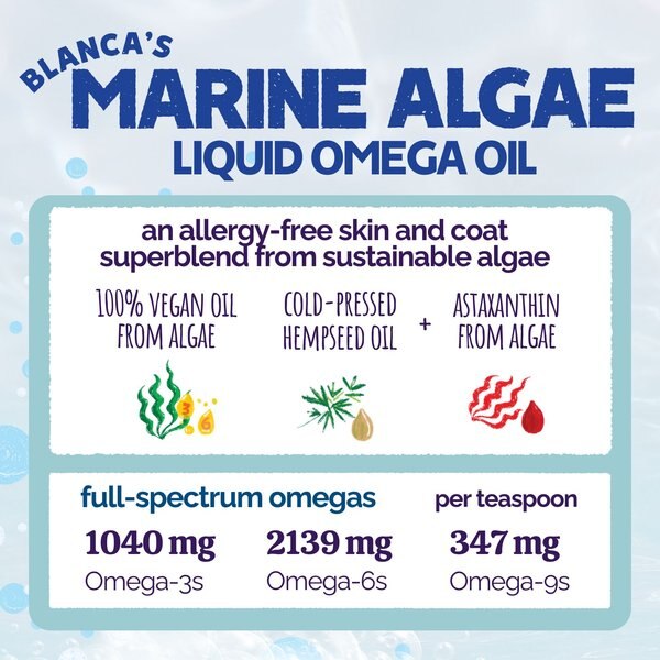 AUSTIN AND KAT Blanca's Marine Algae Oil Vegan Omega Liquid Skin & Coat ...