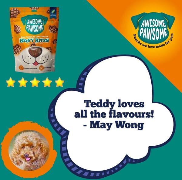 AWESOME PAWSOME Beefy Bites Dog Treats, 3-oz bag - Chewy.com