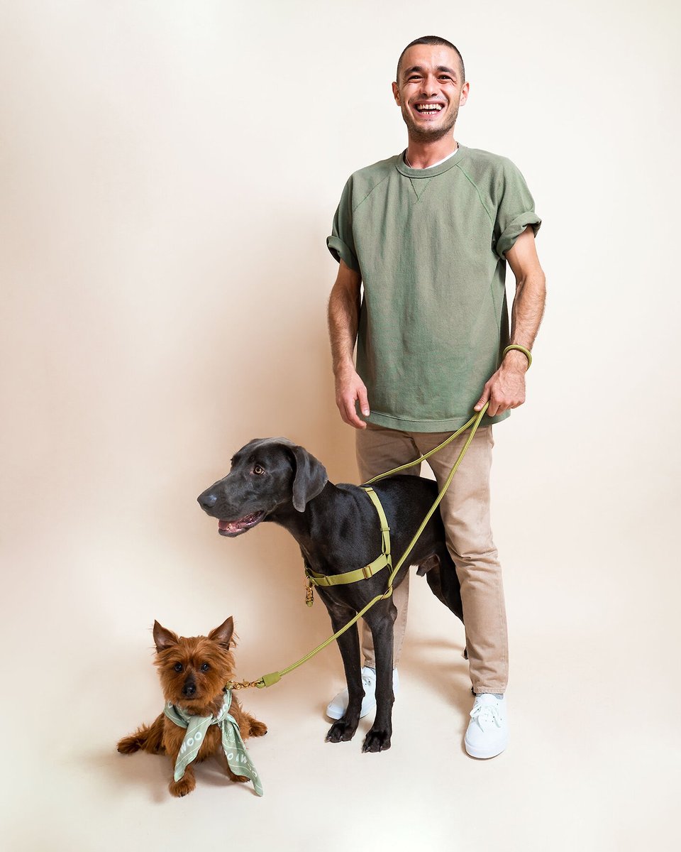 AWOO Infinity Standard Dog Leash, 7-ft long, Navy - Chewy.com