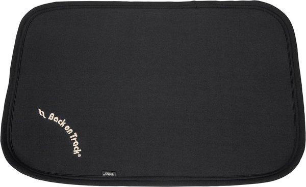 BACK ON TRACK Dog Bed Crate Liner, Black, Black, X-Large - Chewy.com