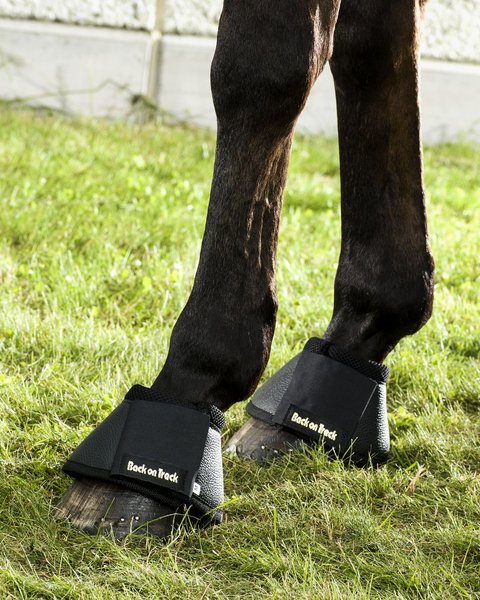 Out of Stock - BACK ON TRACK Therapeutic Bell Horse Boots, Black ...