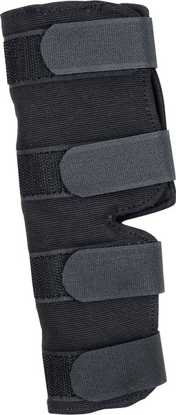 BACK ON TRACK Therapeutic Dog Hock Brace, Small - Chewy.com
