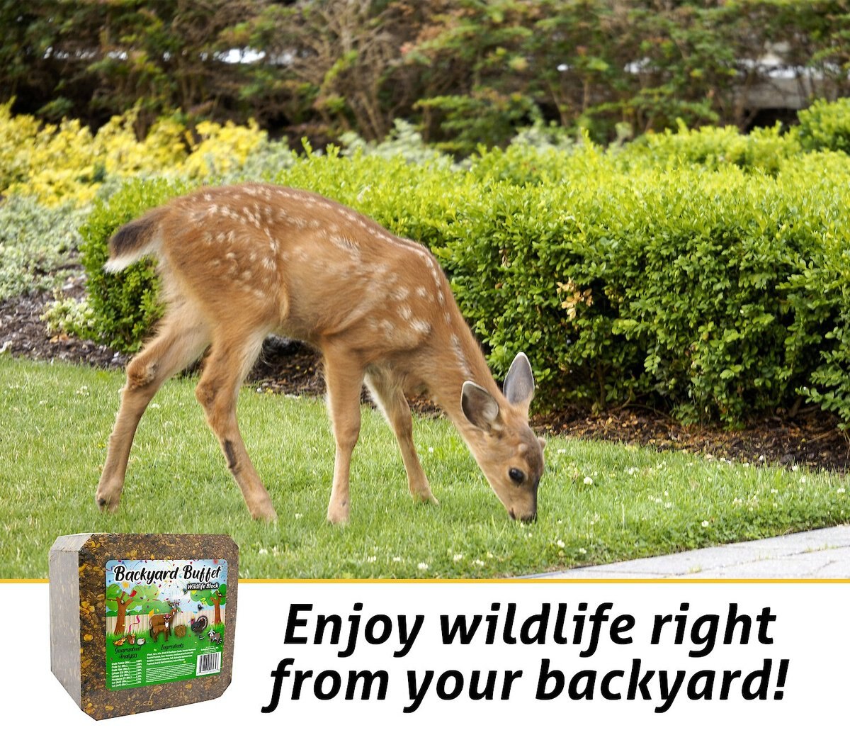 BACKYARD BUFFET Wildlife Treat, 20-lb block - Chewy.com