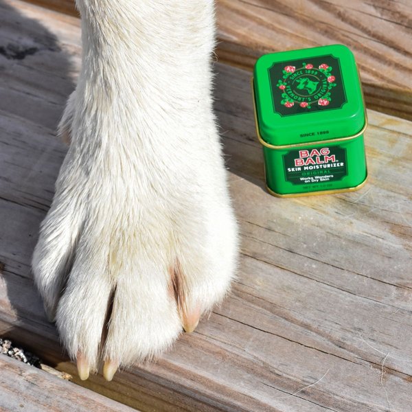 BAG BALM PET Nose, Paw & Hot Spot Moisturizer, 1-fl oz, Tin - Chewy.com