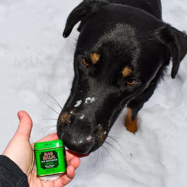 BAG BALM PET Nose, Paw & Hot Spot Moisturizer, 1-fl oz, Tin - Chewy.com