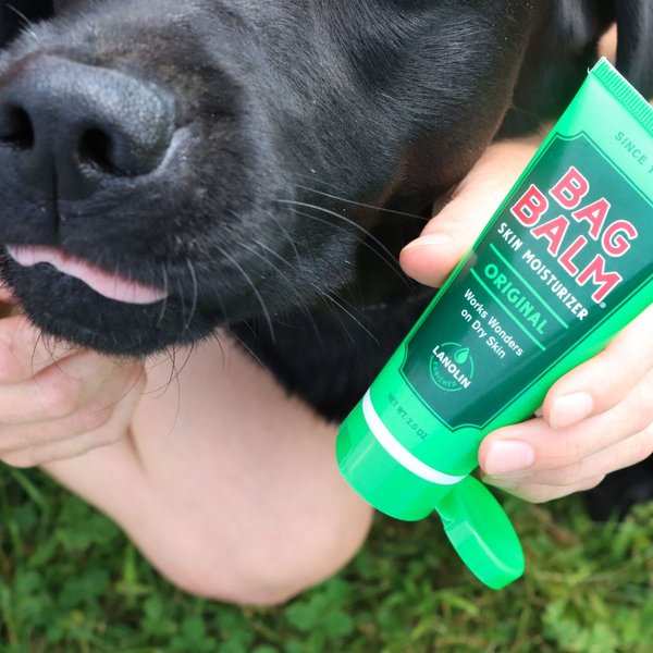 BAG BALM PET Nose, Paw & Hot Spot Moisturizer, 2-fl oz, tube - Chewy.com
