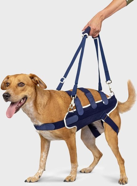 BALTO Body Lift Dog Body Harness with Handles, X-Small - Chewy.com