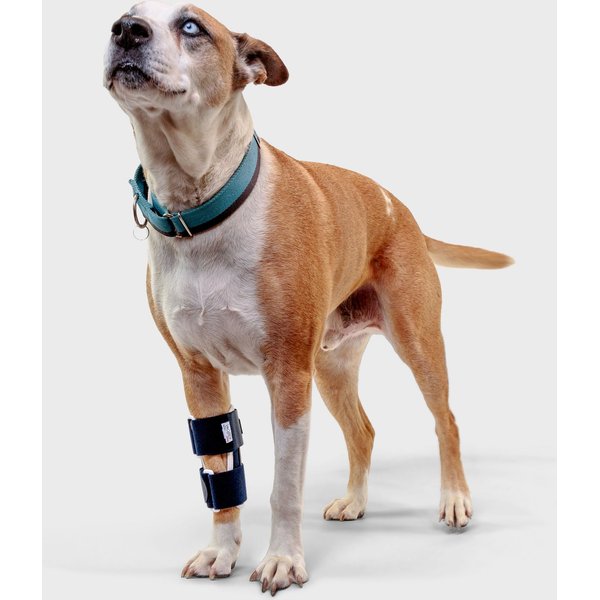 LABRA Right Leg Dog Knee Brace, Large - Chewy.com