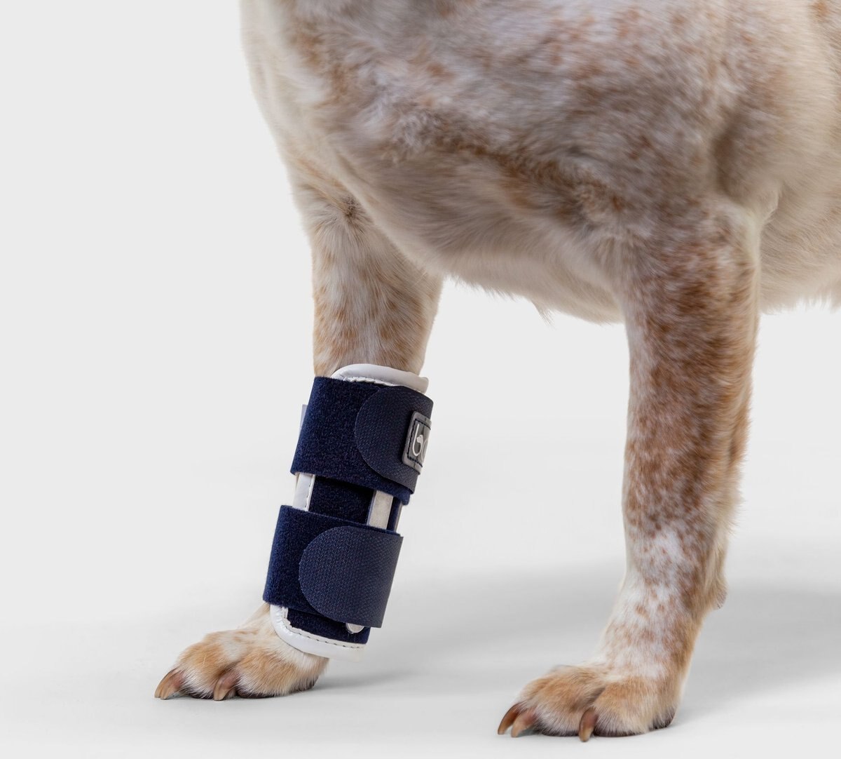 BALTO Joint Carpal Dog Compression Band, Large - Chewy.com