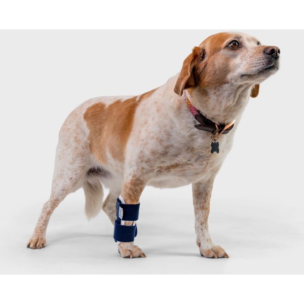 BALTO Soft Plus Dog Double Elbow Brace, Small - Chewy.com