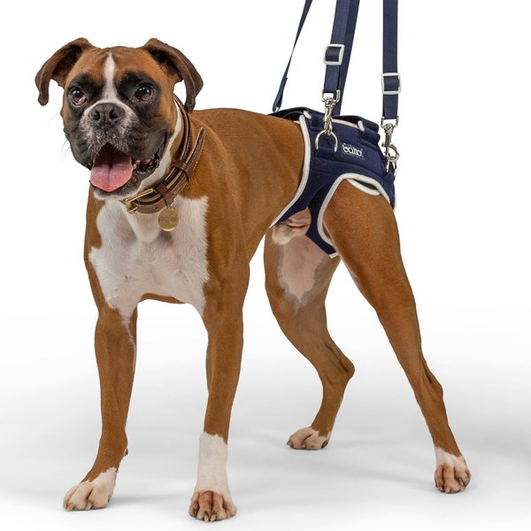 BALTO Body Lift Dog Body Harness with Handles, X-Small - Chewy.com