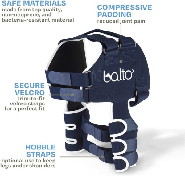BALTO Lux Dog Shoulder Brace, Large - Chewy.com