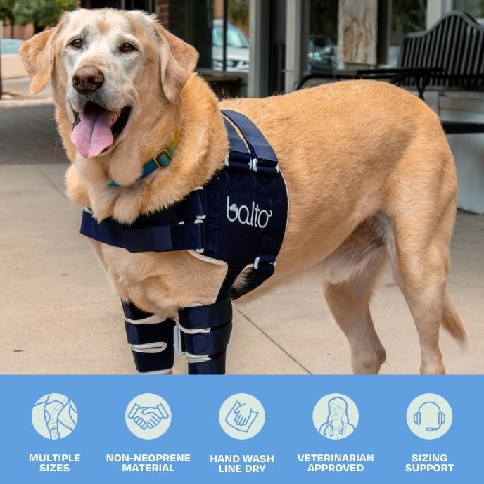 BALTO Lux Dog Shoulder Brace, Large - Chewy.com