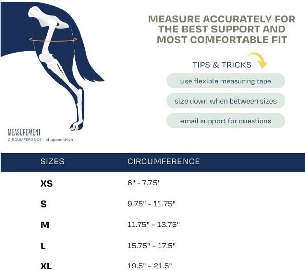 BALTO Up Rear Dog Harness Support, X-Large - Chewy.com