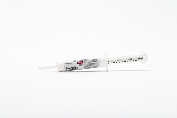 Anti-Inflammatory Medication For Horses | Chewy