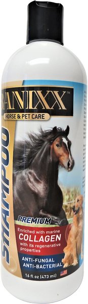 BANIXX Medicated Soap-Free Horse Shampoo, 16-fl oz bottle - Chewy.com