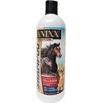 BANIXX Medicated Soap-Free Horse Shampoo, 16-fl oz bottle - Chewy.com