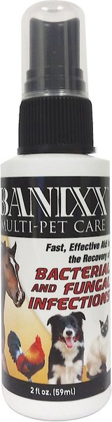 Out of Stock - BANIXX Pet Care+ Wound Care & Anti-Itch Spray for Dogs ...