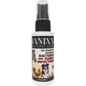 Out of Stock - BANIXX Pet Care+ Wound Care & Anti-Itch Spray for Dogs ...