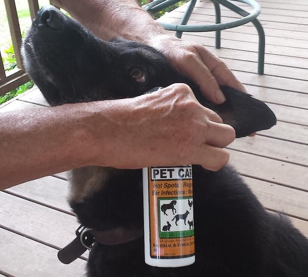 BANIXX Pet Care+ Wound Care & Anti-Itch Spray for Dogs, Cats & Small ...