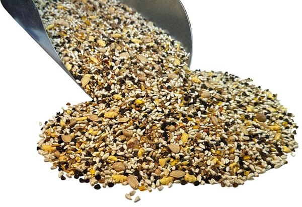 Out of Stock - BAR ALE Parrot Mix Premium Parrot Food, 8-lb bag - Chewy.com