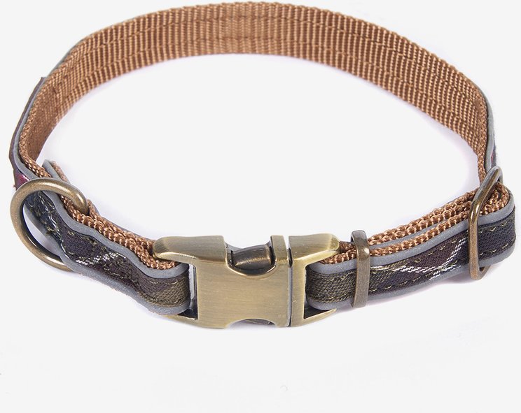 SNAP DOG COLLARS (Free Shipping) | Chewy