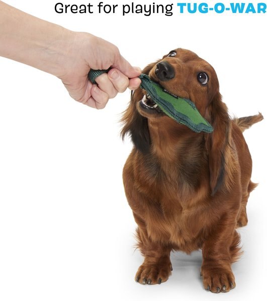 BARK A Green Chew Leaf Tough Chew Dog Tug Toy, Green, Small - Chewy.com