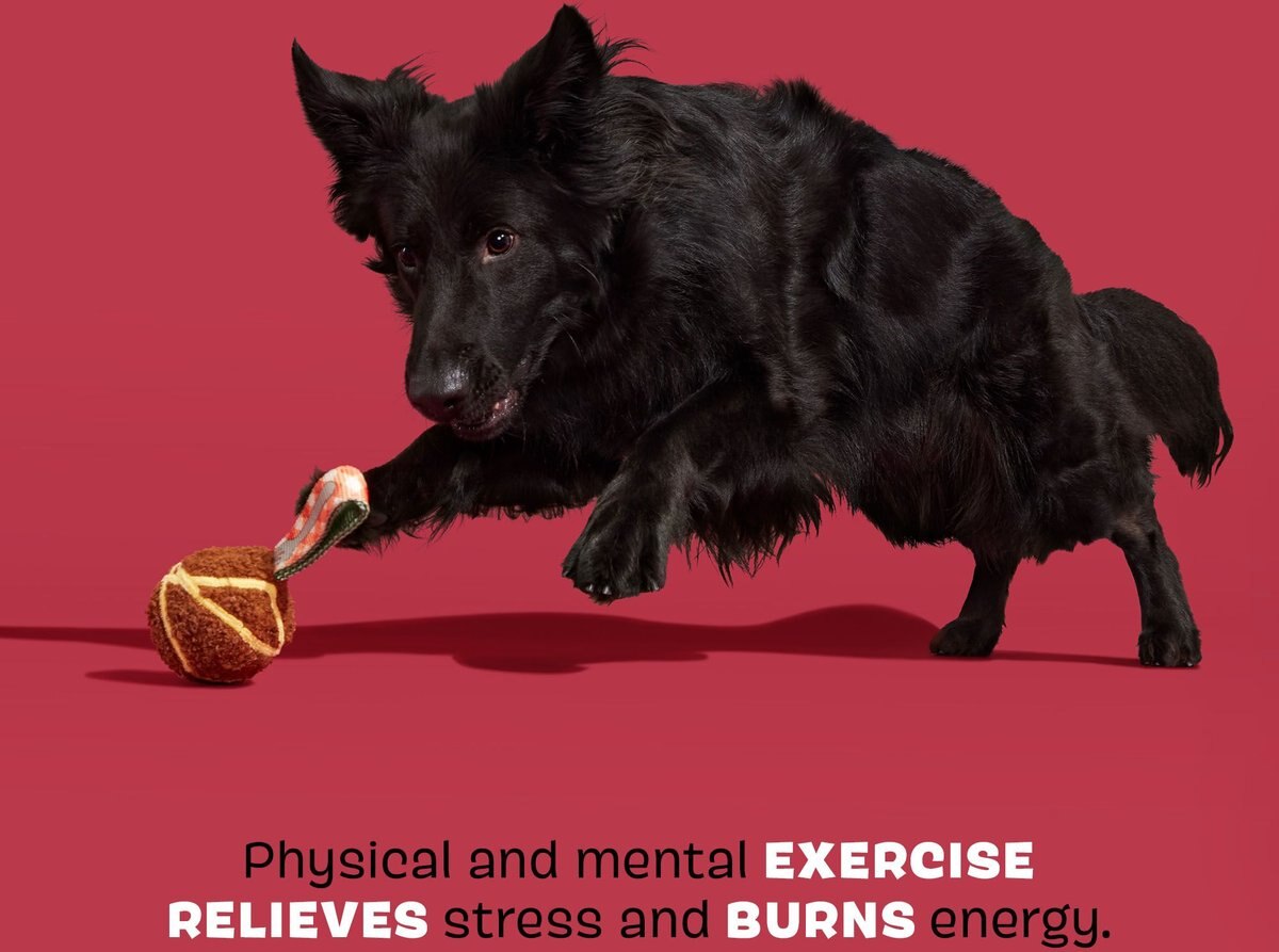 BARK A Squeaky Meat-a-Ball Beef Scented Rip & Reveal Squeaky Tough Dog ...