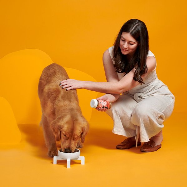 BARK Beef, Chicken, & Pork Variety Pack High Protein Limited Ingredient ...