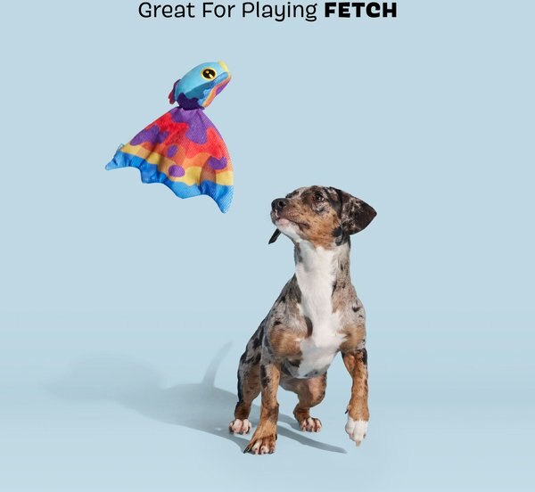 BARK Beta Boop Whip & Flip Squeaky Plush Dog Toy - Chewy.com