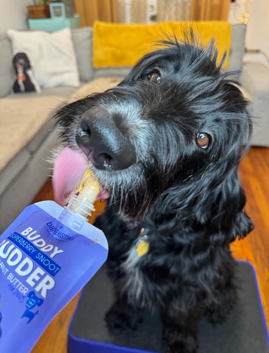 BARK BISTRO COMPANY Buddy Budder Peanut Butter 6 Mixed Flavor Squeeze ...