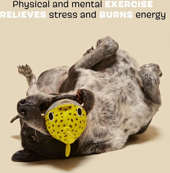 BARK Blowfetch Hard Core Tough Dog Chew Toy, Yellow, Medium - Chewy.com