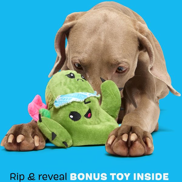 BARK Cactus Rip & Reveal Squeaky Plush Dog Toy, Green, Large - Chewy.com