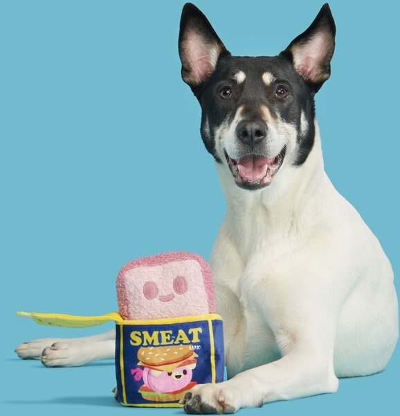 BARK Canned Smeat Multi-Part Squeaky Plush Dog Toy, Medium - Chewy.com