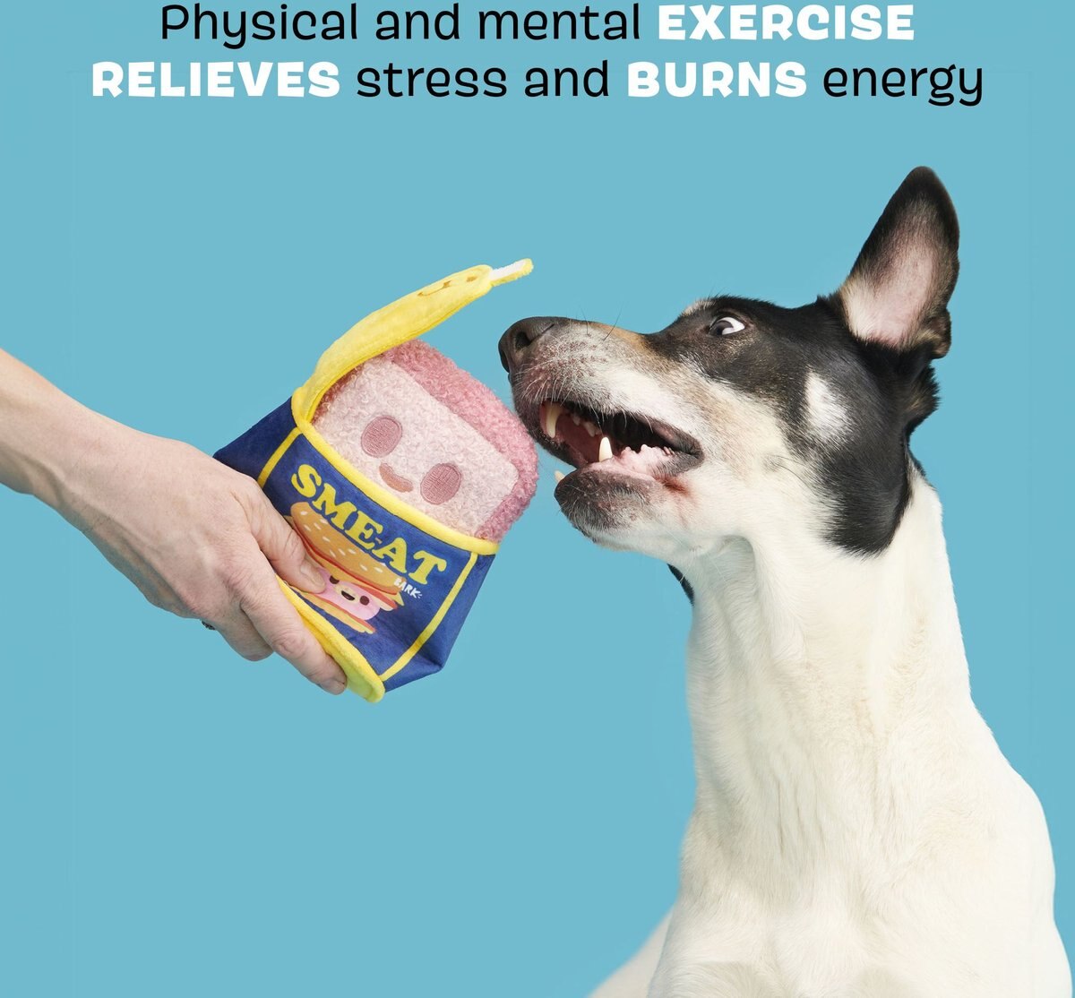 BARK Canned Smeat Multi-Part Squeaky Plush Dog Toy, Medium - Chewy.com