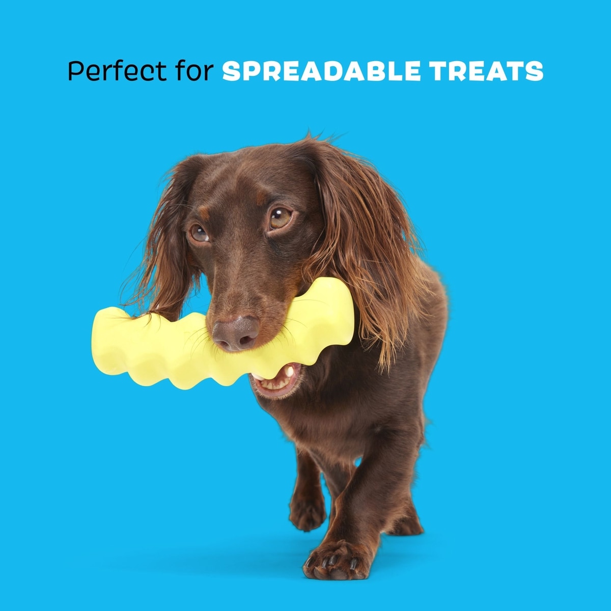 BARK Crinkle Fry Tough Dog Chew Toy, Yellow, Large - Chewy.com