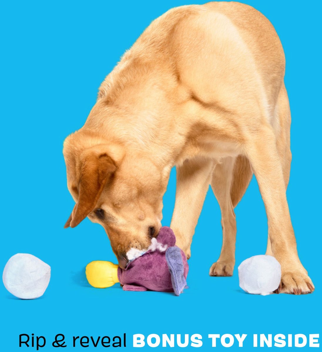 BARK Drongo Platypus Rip & Reveal Squeaky Plush Dog Toy, Purple, Small ...