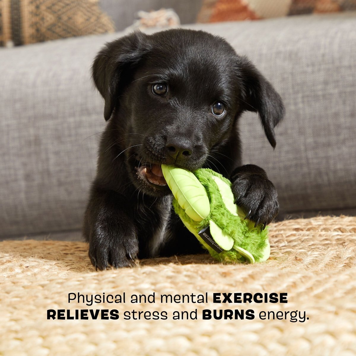 BARK Drop The Bass Rip & Reveal Fetch Tough Treat Dispensing Dog Chew ...