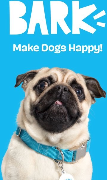 BARK Freddy Flying Fish Squeaky Plush Dog Toy - Chewy.com