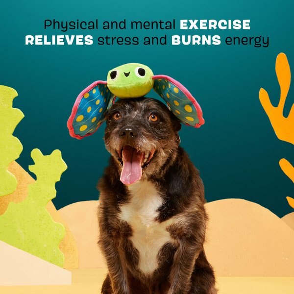 BARK Freddy Flying Fish Squeaky Plush Dog Toy - Chewy.com