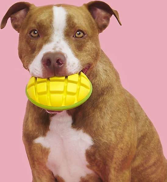 BARK GO Mango Tough Dog Chew Toy, Yellow, Large - Chewy.com