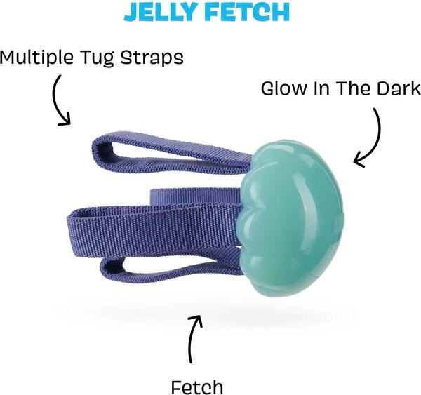 BARK Jelly Fetch & Rope Tough Dog Tug Toy, Purple, Medium - Chewy.com