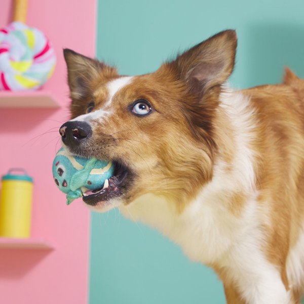 BARK Mint Chocolate Poop Scoop Balls Squeaky Plush Dog Toys, Brown ...