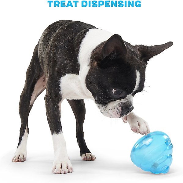 BARK Poopsicle Tough Treat Dispensing Dog Chew Toy, Blue, Medium ...