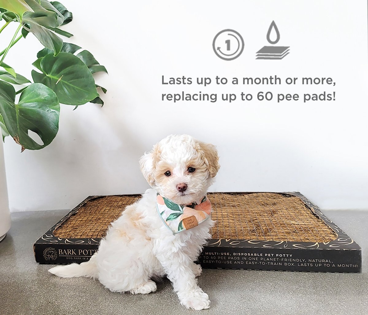 BARK POTTY Natural Disposable Dog Potty Pad, 16x24-in - Chewy.com