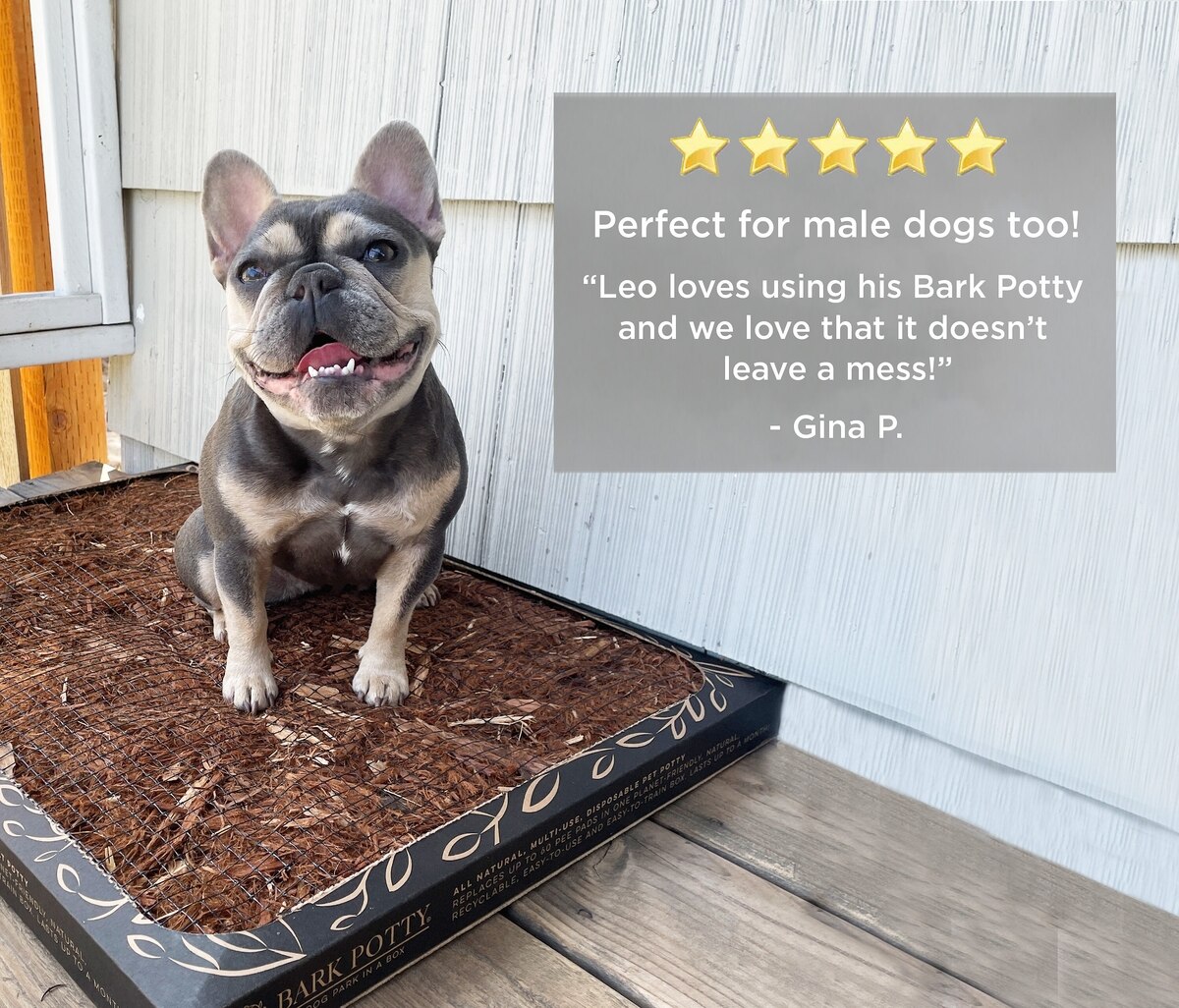 BARK POTTY Natural Disposable Dog Potty Pad, 16x24-in - Chewy.com