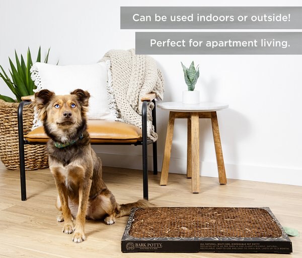 BARK POTTY Natural Disposable Dog Potty Pad, 16x24-in - Chewy.com