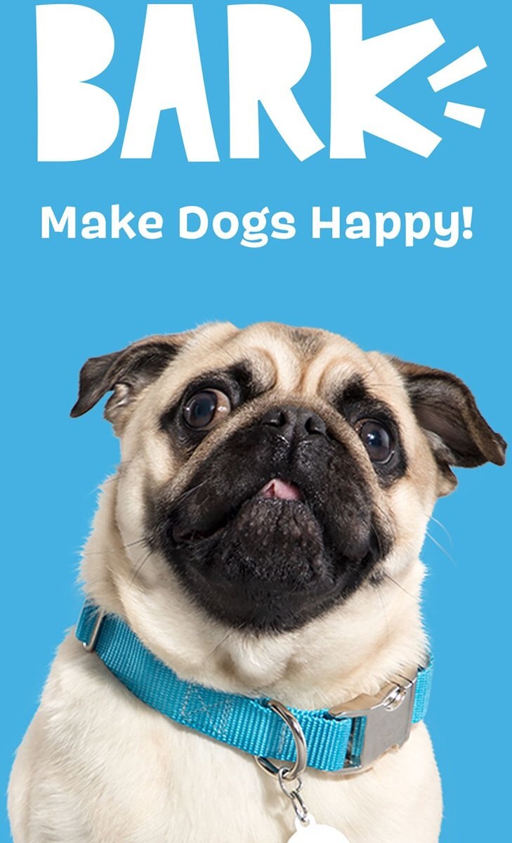 BARK Quick Lick Picnic Multi-Part Squeaky Plush Dog Toy, X-Small/Small - Chewy.com