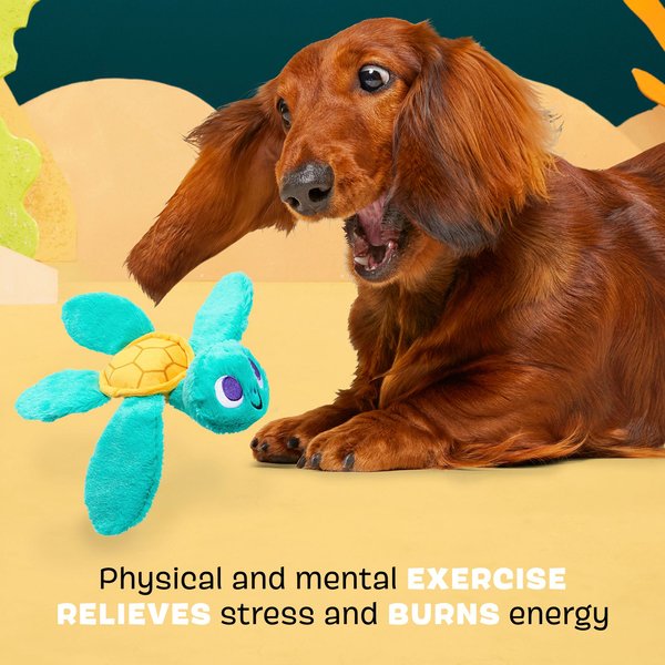 BARK Stevie Sea Turtle Crinkly Squeaky Plush Dog Toy, Teal, Small ...
