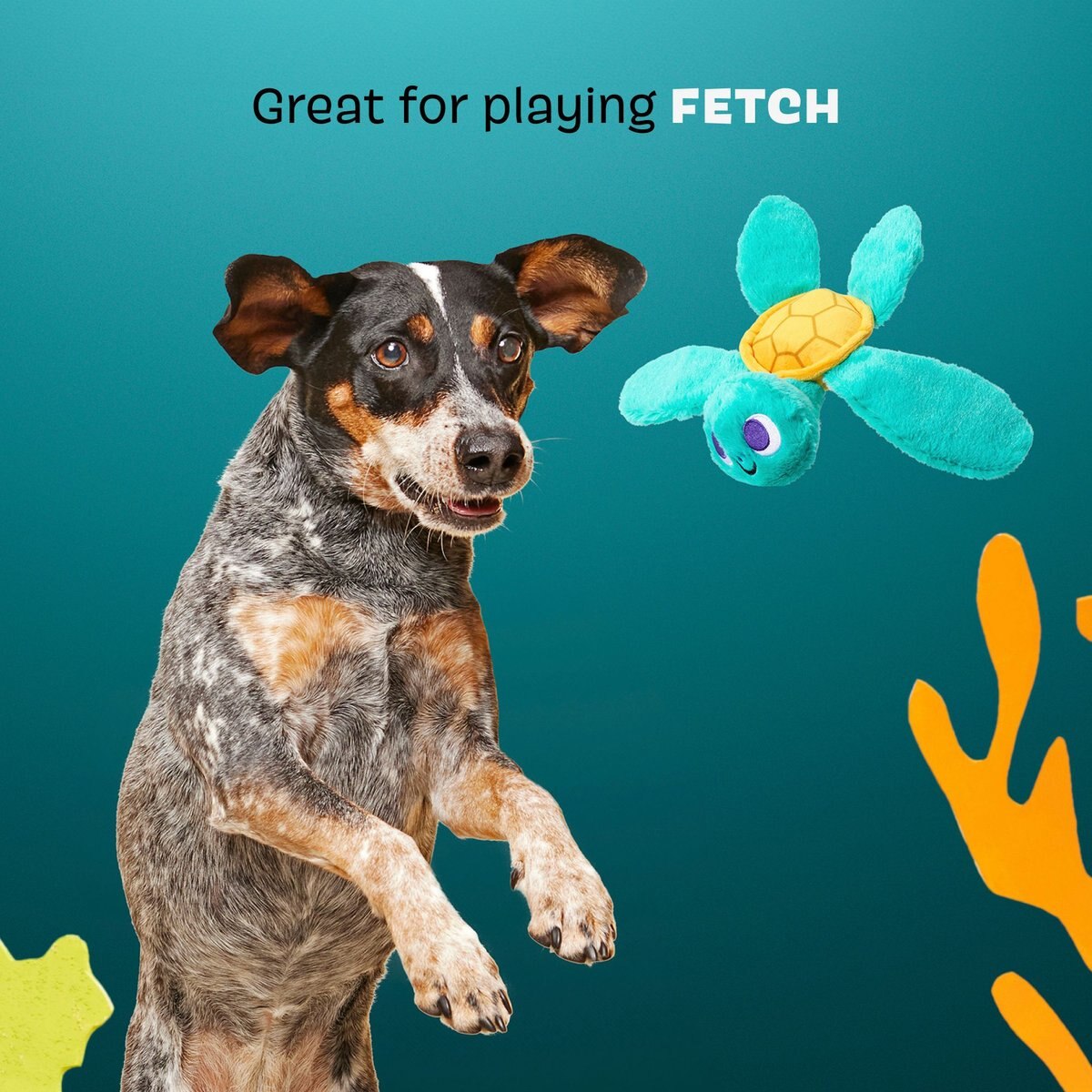 BARK Stevie Sea Turtle Crinkly Squeaky Plush Dog Toy, Teal, Small ...